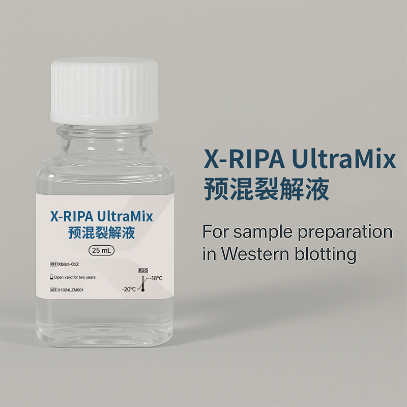 陶术（TargetMol）-泛思生物