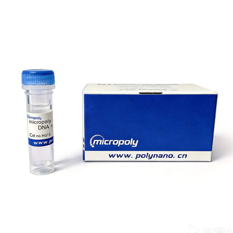 迈可锐Micropoly DNA转染试剂